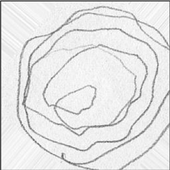 Detecting Parkinson’s Disease Based on Hand-Drawings · Njoud Algifari